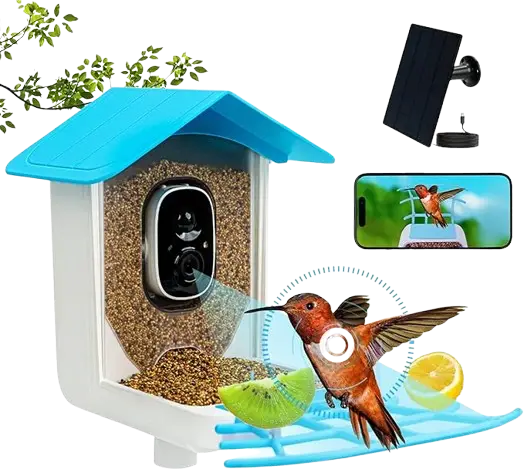 ChirpyCharm Camera | Capture Every Backyard Bird in HD Today!